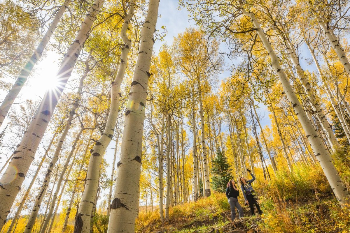 Fall Activities in Snowmass | Woodrun V