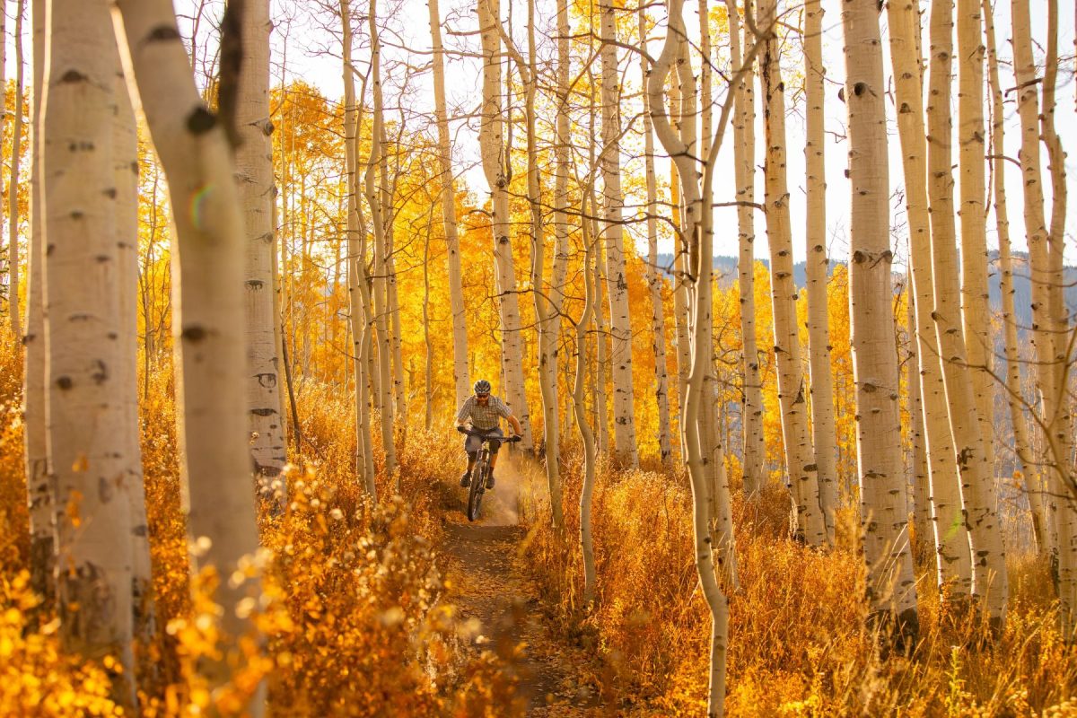 Fall Activities in Snowmass | Woodrun V